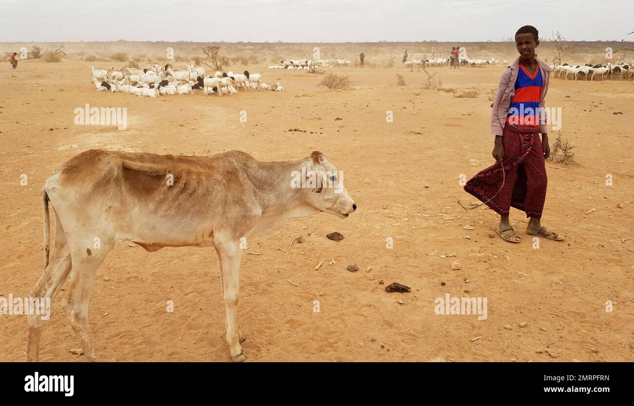 In this photo taken Sunday, Sept. 3, 2017, a child attends to his ...