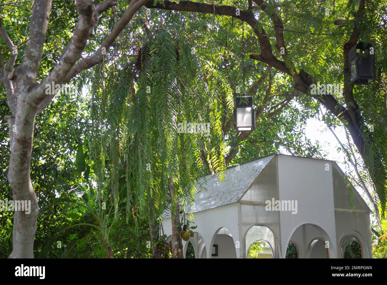 Decoration of coffee shop in Thailand, stock photo Stock Photo - Alamy