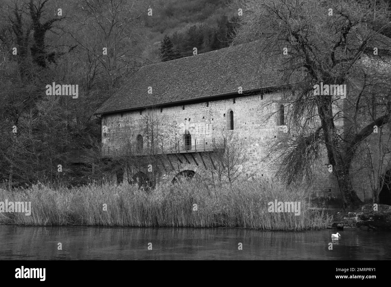 A monochrome shot of a huge old building on the shore of a lake Stock ...