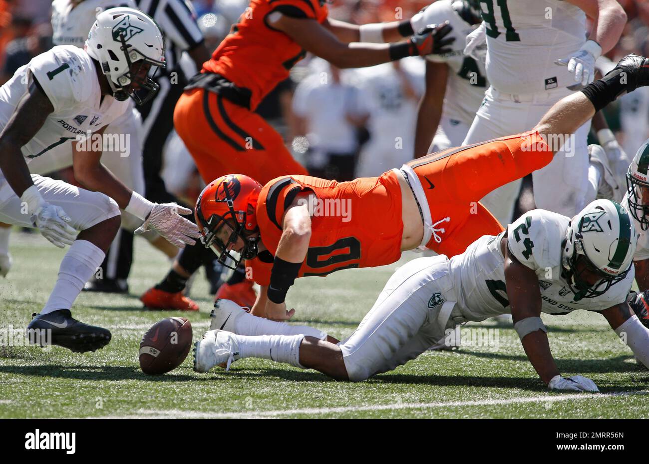 Oregon State quarterback Darell Garretson (10) fumbles the ball while ...