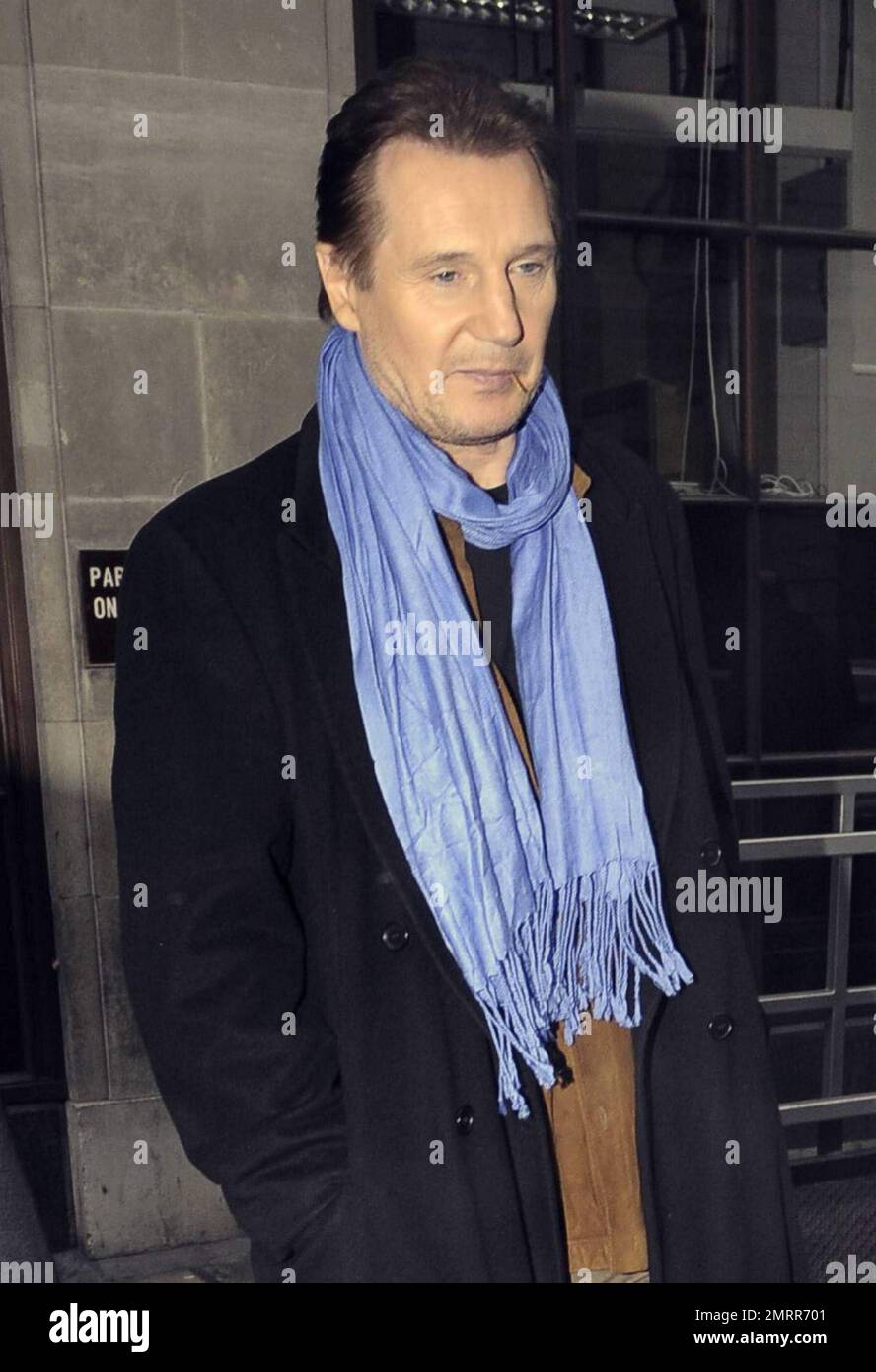 Liam Neeson Voice Actor 60 Photos - Moonagedaydream.film