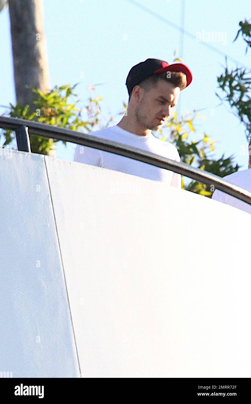 EXCLUSIVE!! One Direction boy band singer Liam Payne is joined by his ...