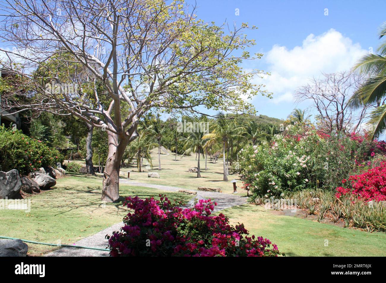 EXCLUSIVE!! General views of the beautiful Rosewood Little Dix Bay ...