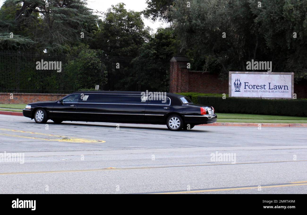 Limousines arrive at the funeral services for actress Elizabeth Taylor ...