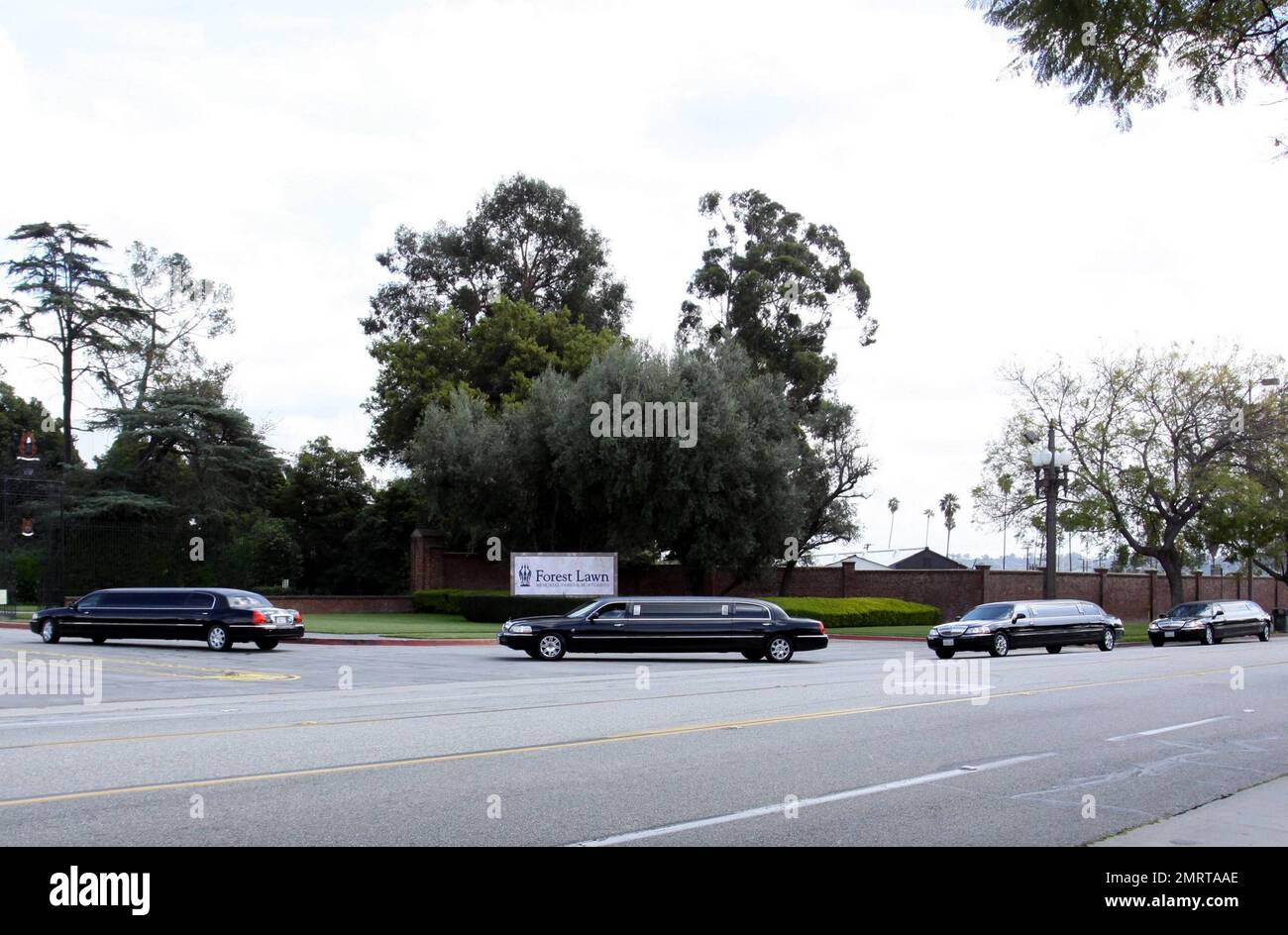 Limousines arrive at the funeral services for actress Elizabeth Taylor ...