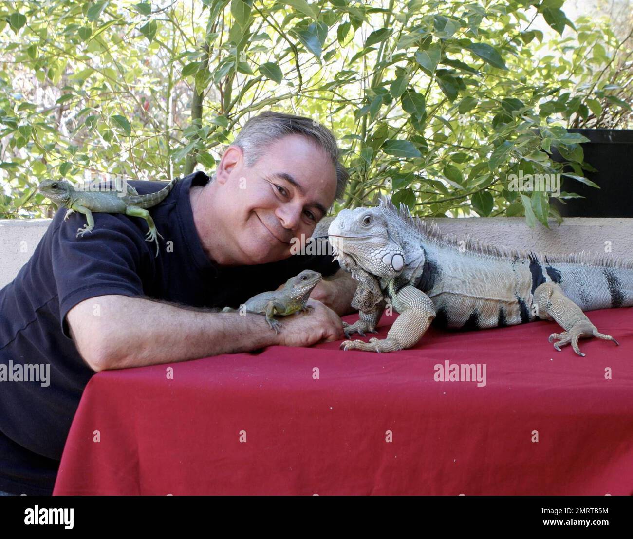 Henry lizardlover hi-res stock photography and images - Alamy