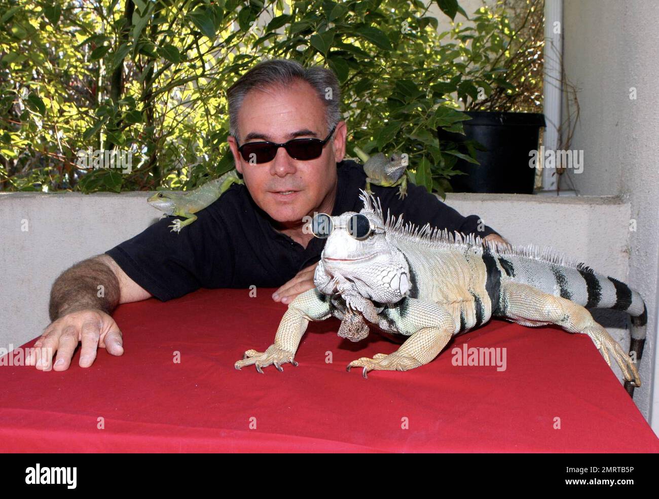 Exclusive!! Henry Lizardlover snuggles up with some of his lizard ...