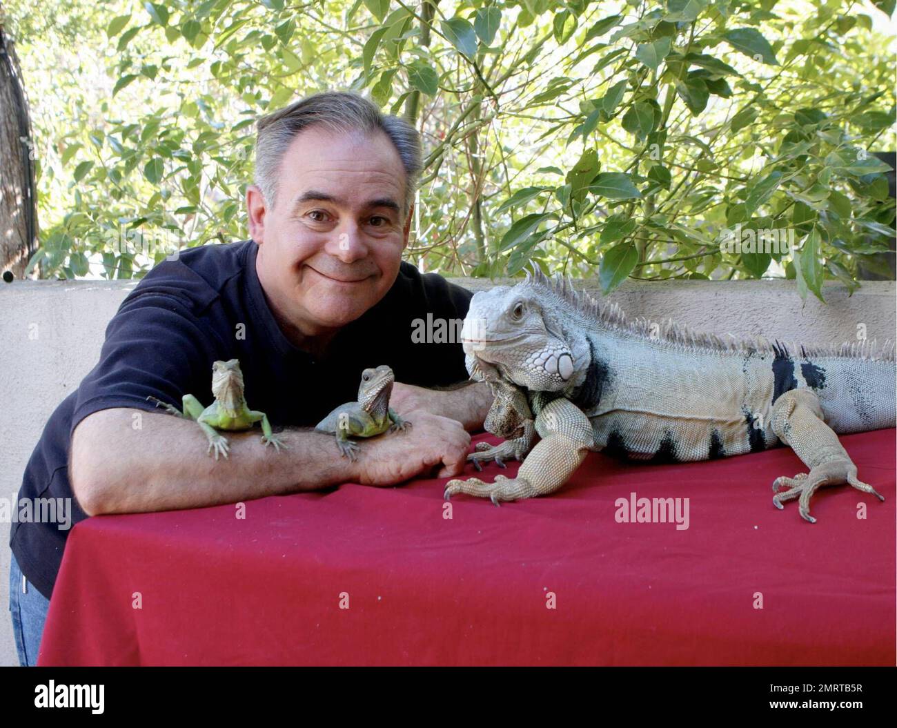 Henry lizardlover hi-res stock photography and images - Alamy