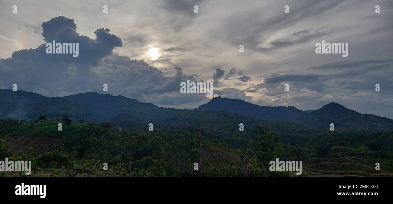 Natural Landscape of Indonesia. Green trees in forest. Day time photo ...