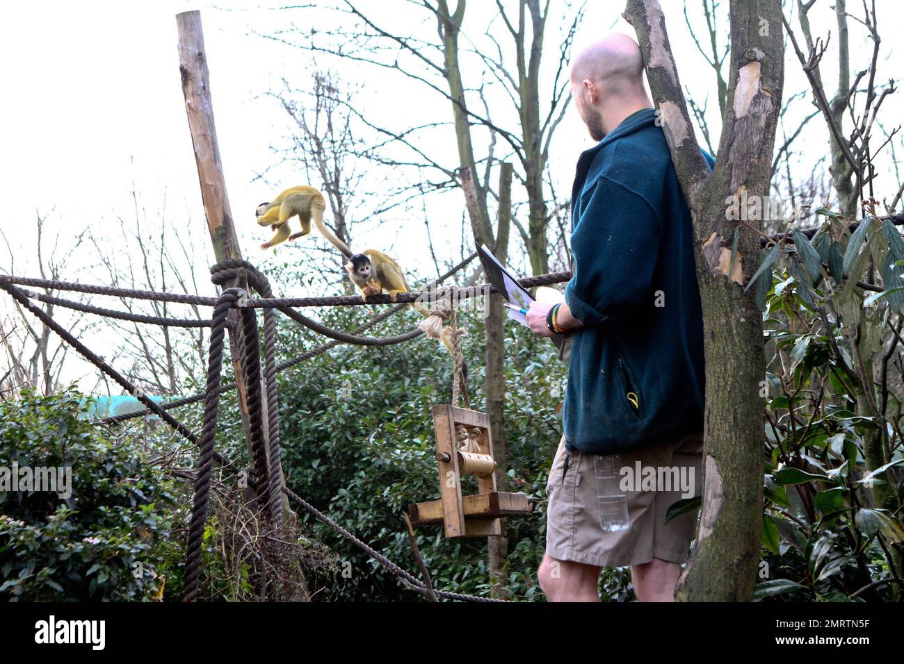 The entire animal community is counted during the annual London Zoo ...