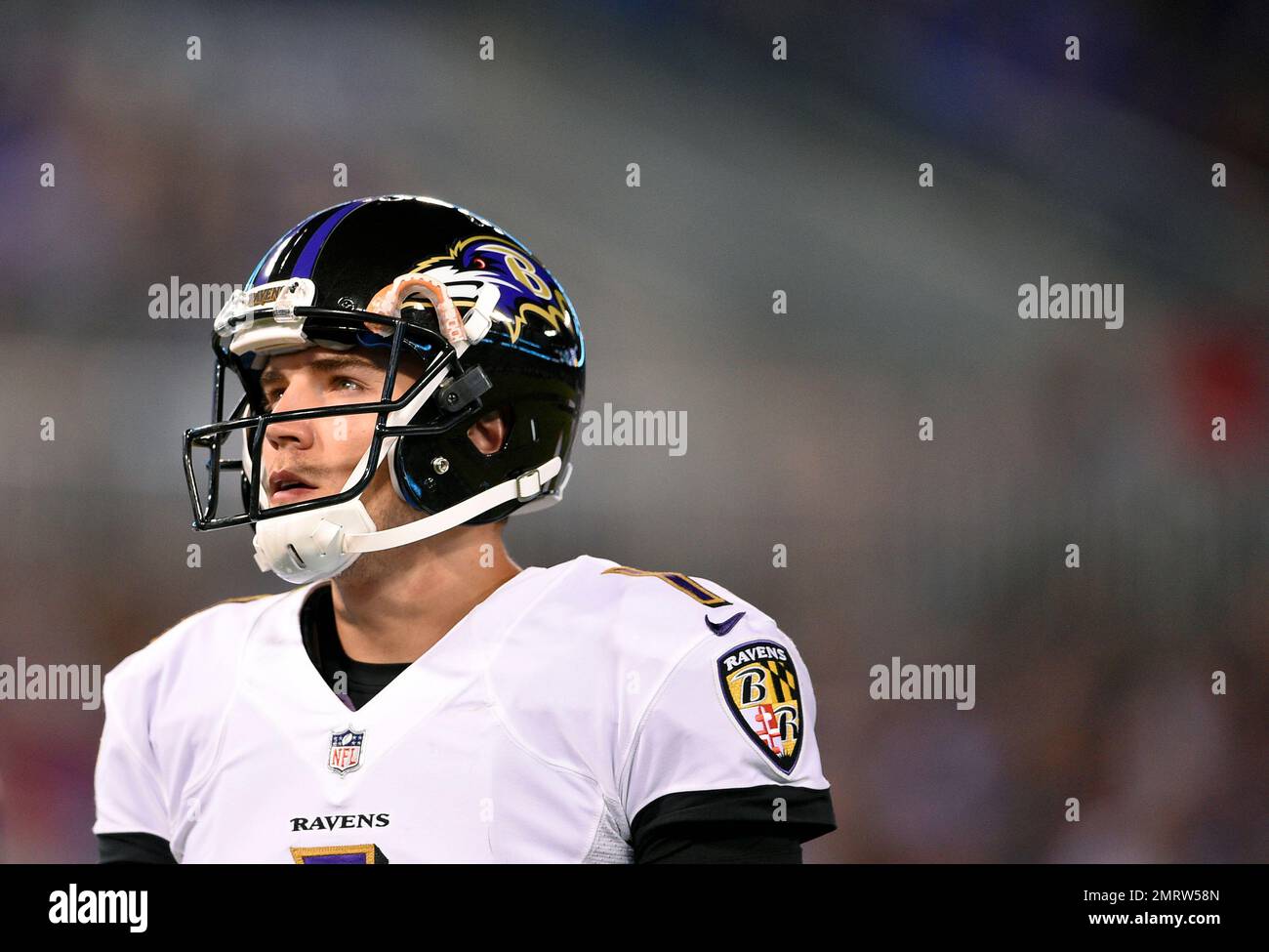 Baltimore Ravens quarterback Josh Woodrum stands on the field in the ...