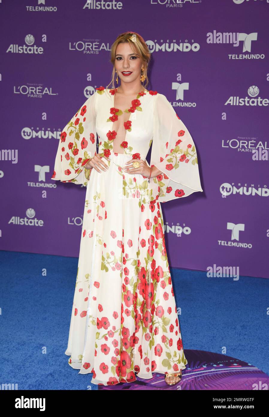 Fabiola Arace attends the 2017 Premios Tu Mundo at the American ...