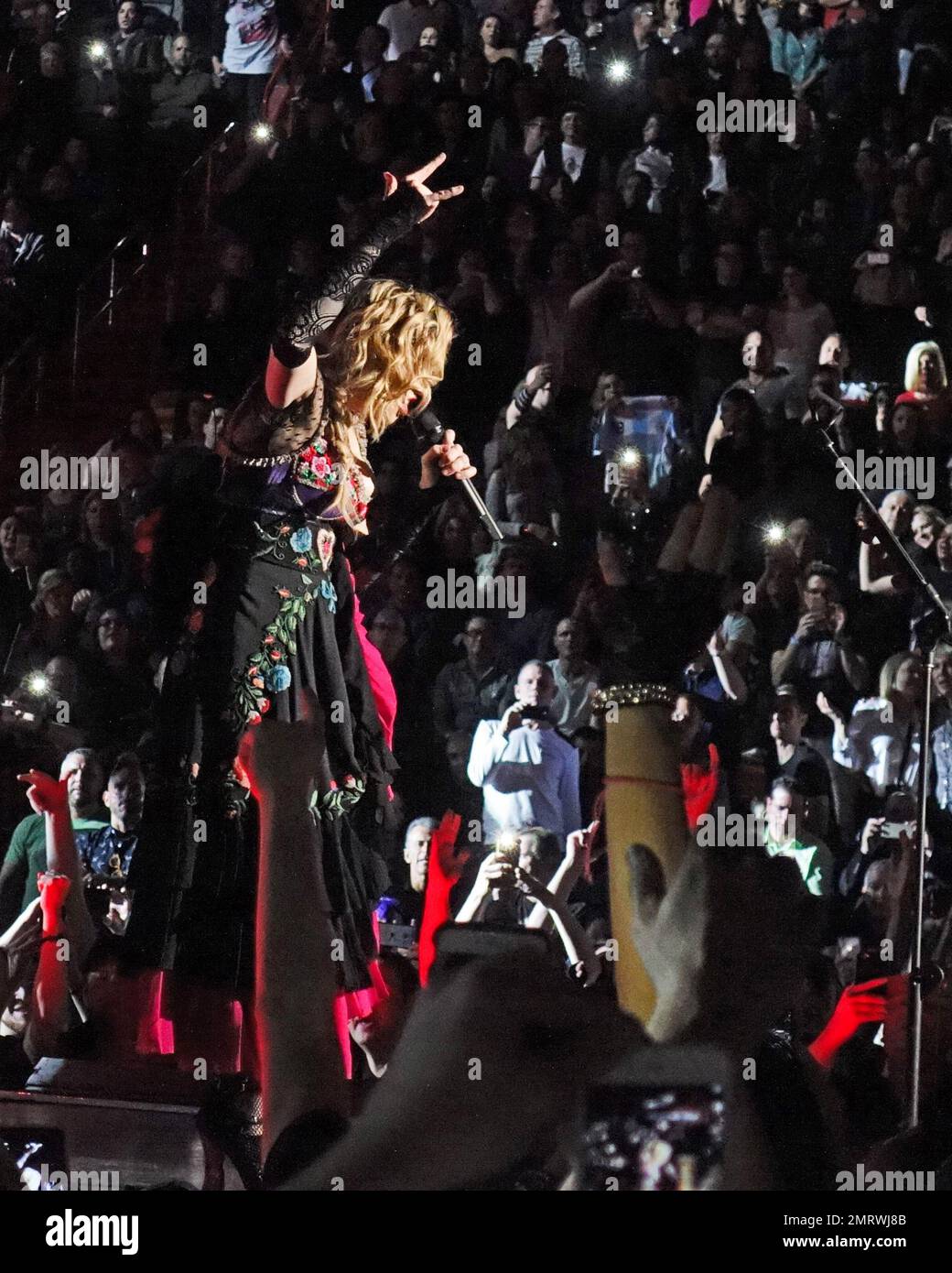 Madonna performs live during her Rebel Heart Tour at American Airlines ...