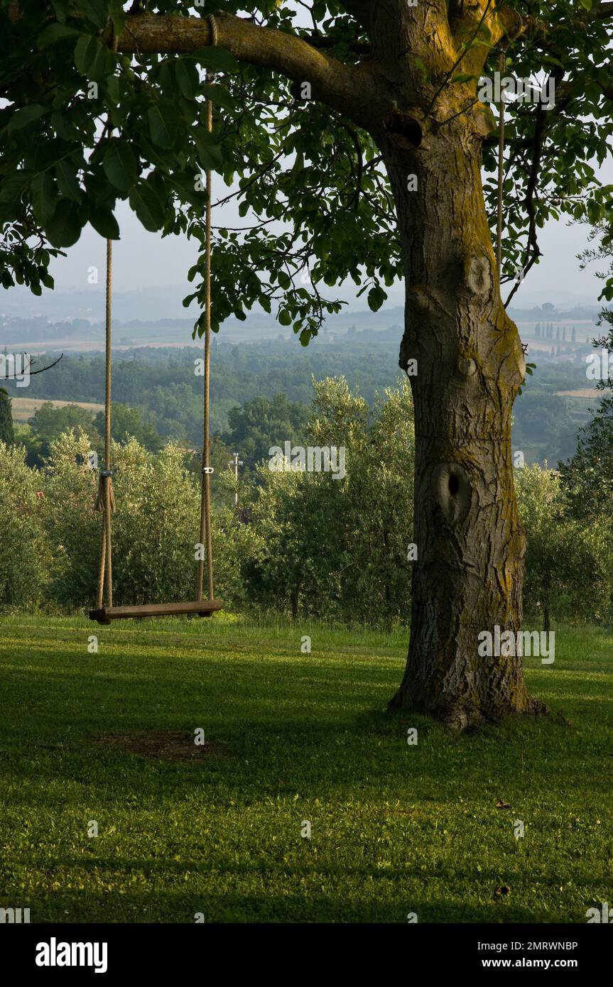 Vertical: Tree with rope swing overlooking valley in Tuscany, Italy ...