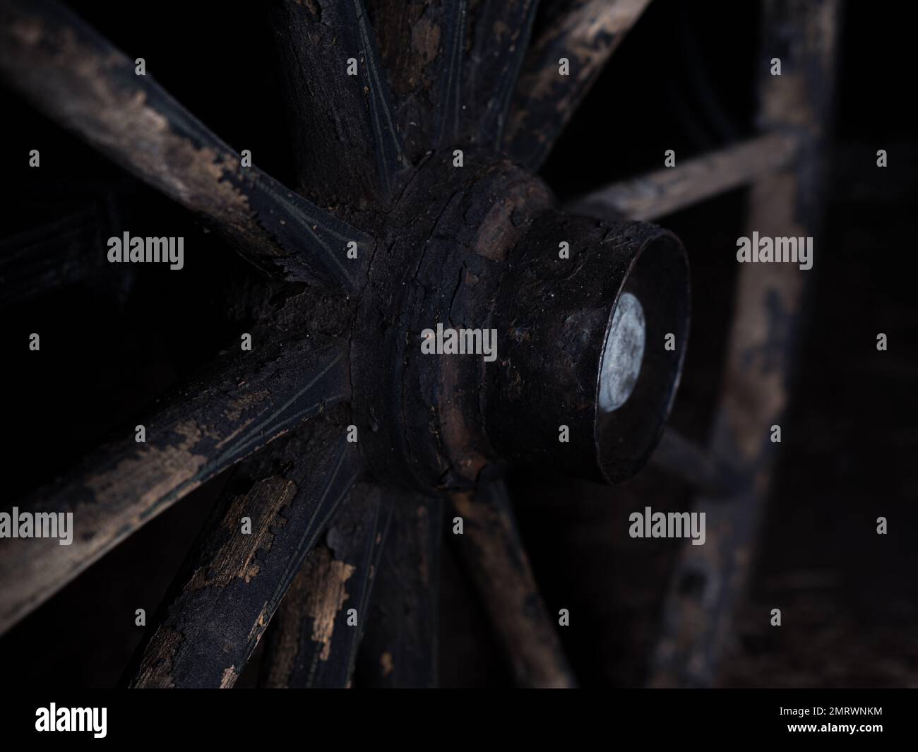 Ancient horse equipment hi-res stock photography and images - Alamy