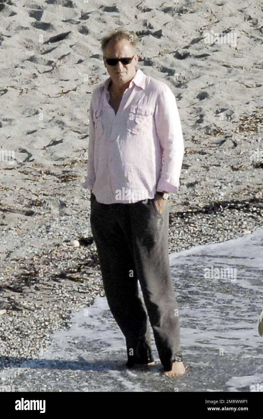 Pierce Brosnan, Meryl Streep, Colin Firth, Stellan Skarsgard and Amanda ...