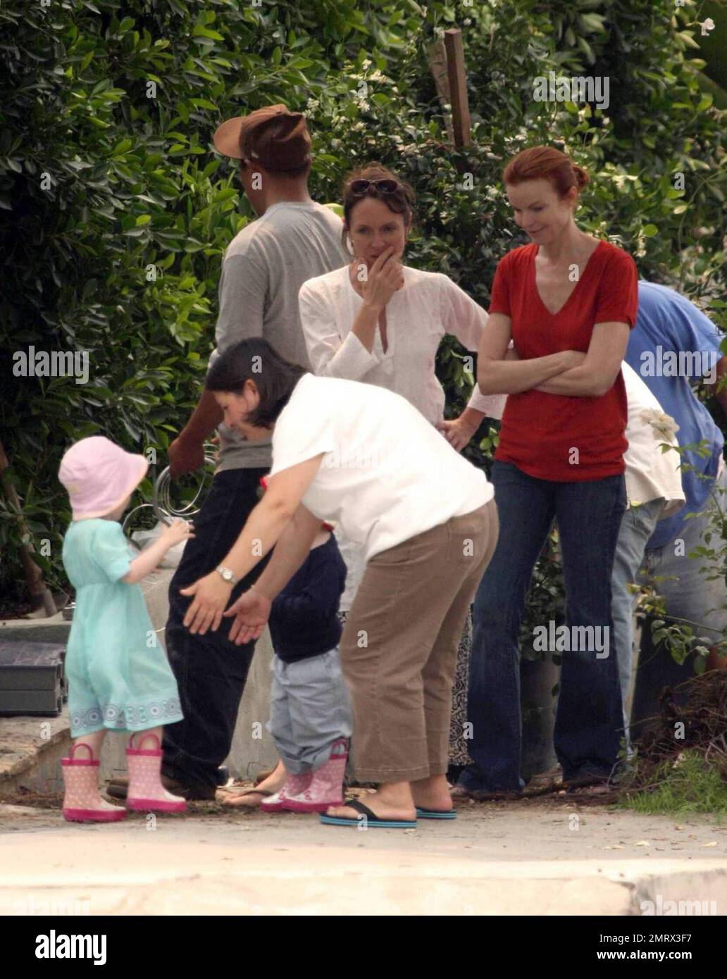 EXCLUSIVE!! Actress Marcia Cross was seen landscaping her front yard ...