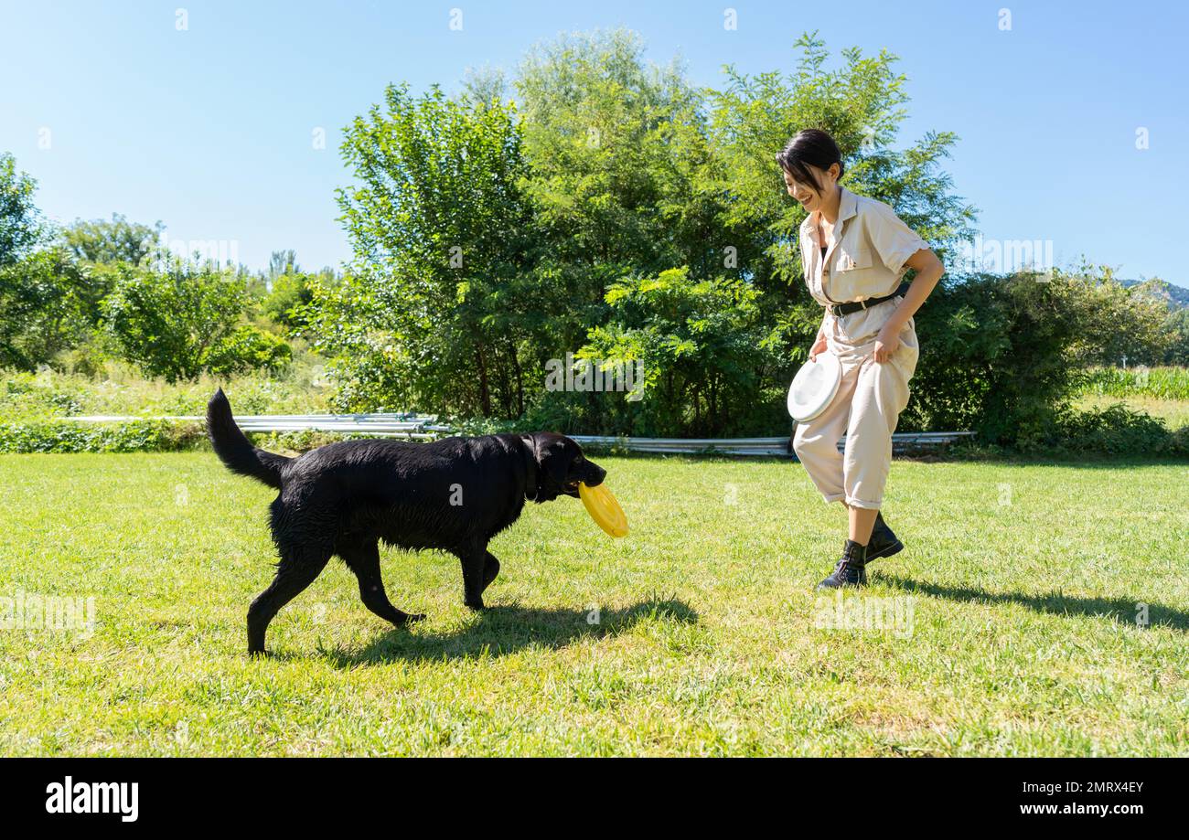 Camping dog frisbee hi-res stock photography and images - Alamy