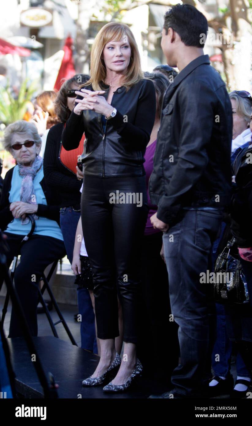 "CSI: Crime Scene Investigation" star Marg Helgenberger wears black ...