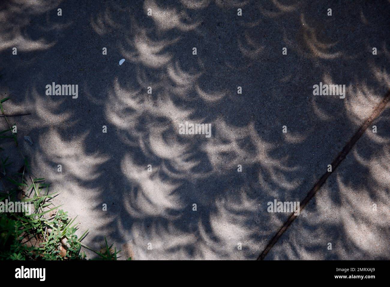 Crescent shaped shadows are pictured a sidewalk as light passes through ...