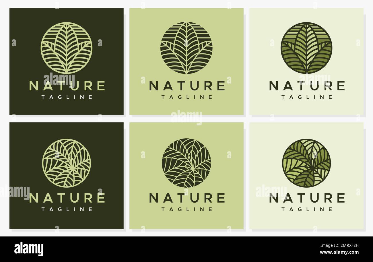 Leaf line circle logo design set. Modern nature line logo template ...