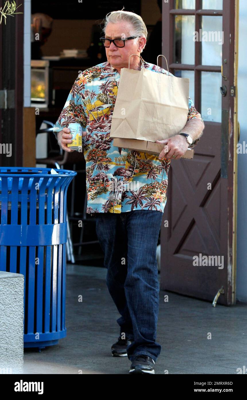 Actor Martin Sheen was seen picking up food to go from Howdy's ...