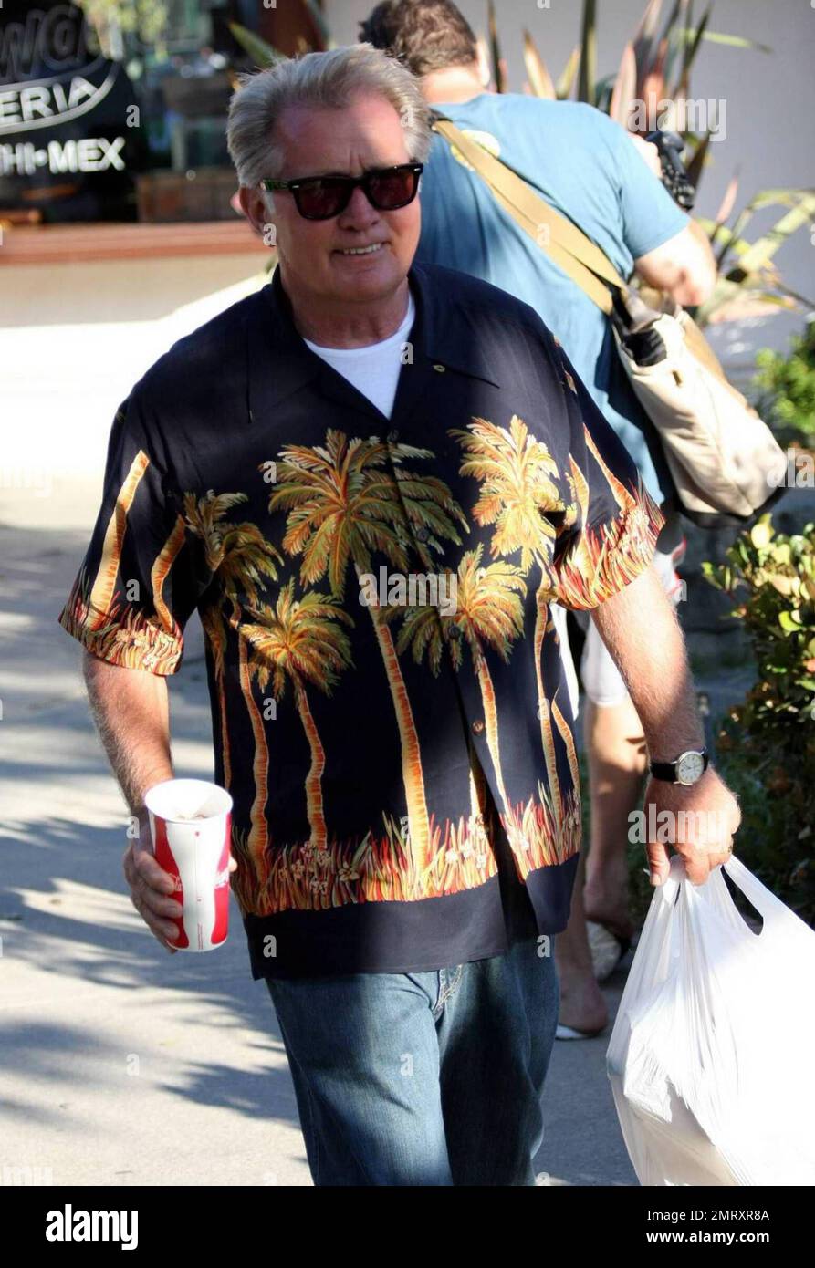 Former "West Wing" star Martin Sheen looks like he's ready for a ...