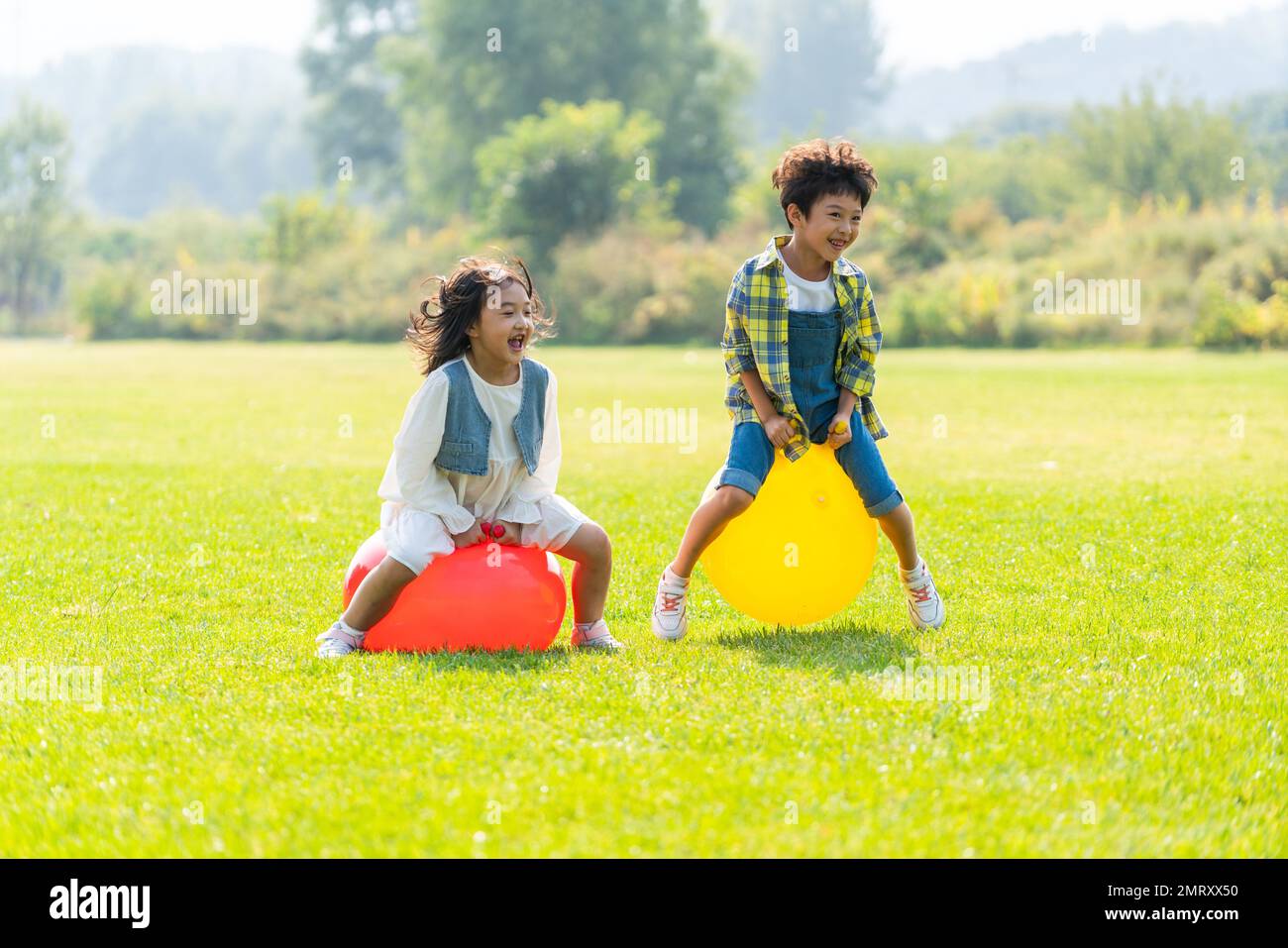 The two children playing games on the grass Stock Photo - Alamy