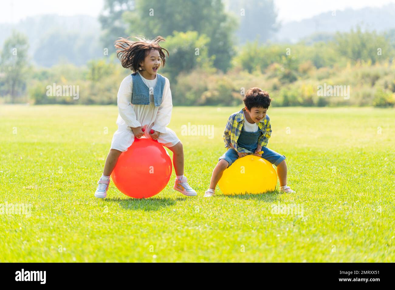 The two children playing games on the grass Stock Photo - Alamy