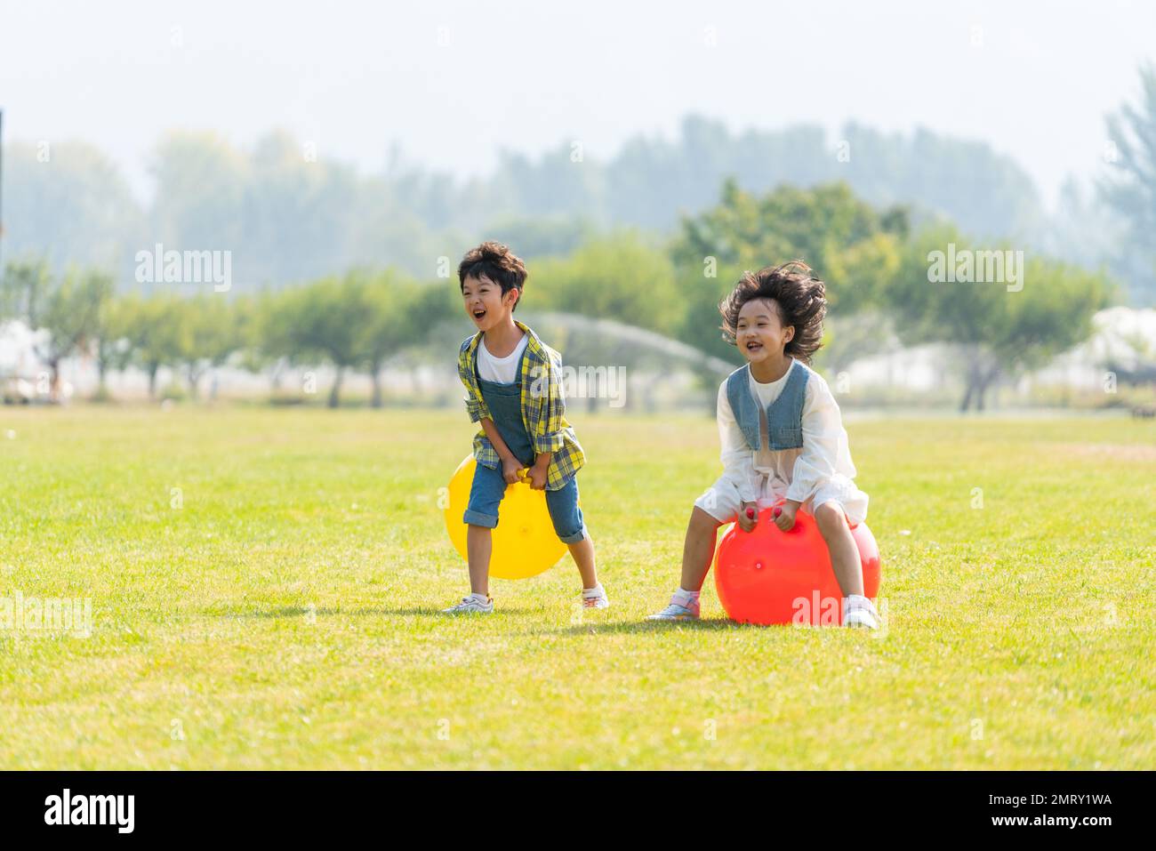 The two children playing games on the grass Stock Photo - Alamy
