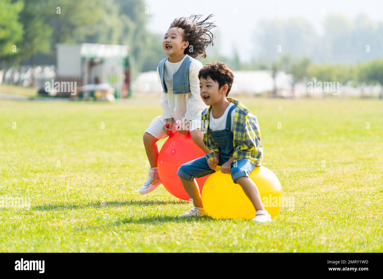 The two children playing games on the grass Stock Photo - Alamy