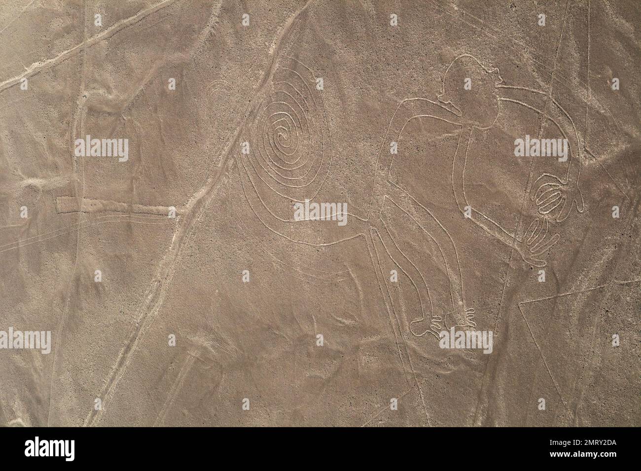 Nazca lines, Peru - Monkey Stock Photo - Alamy