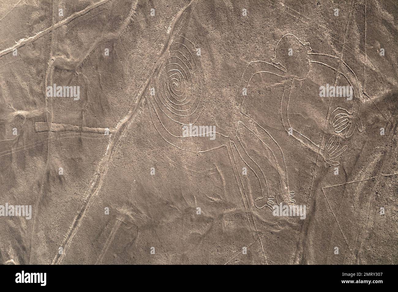 Nazca lines, Peru - Monkey Stock Photo - Alamy