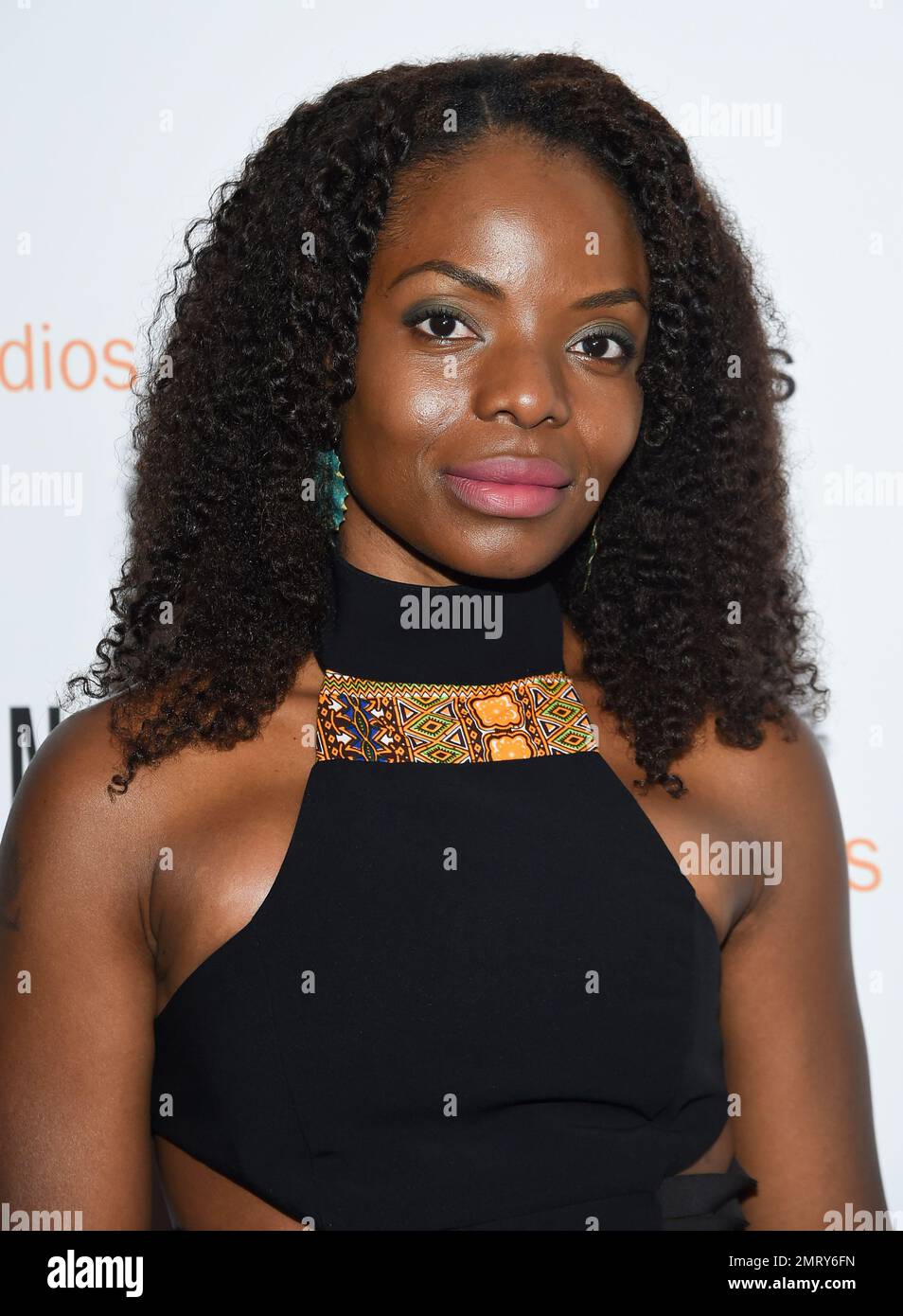 Marsha Stephanie Blake attends the premiere of Amazon Studios' and IFC ...