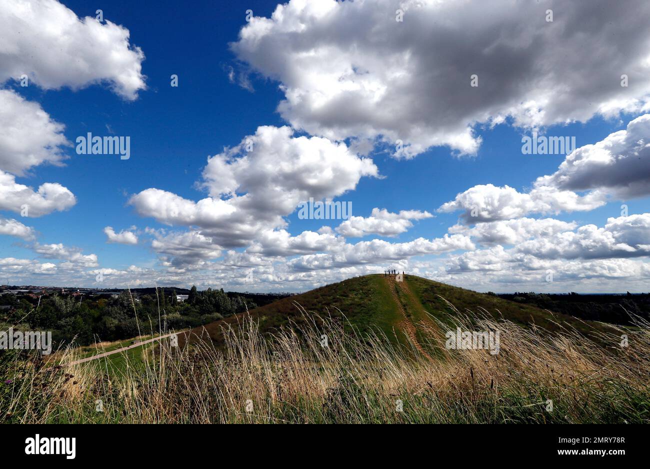 People stand on one of the four large earth mounds at Northala Fields ...