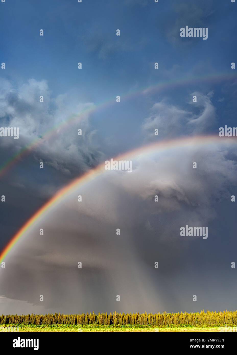 A double rainbow over the Vilyui River after rain against a dark blue ...
