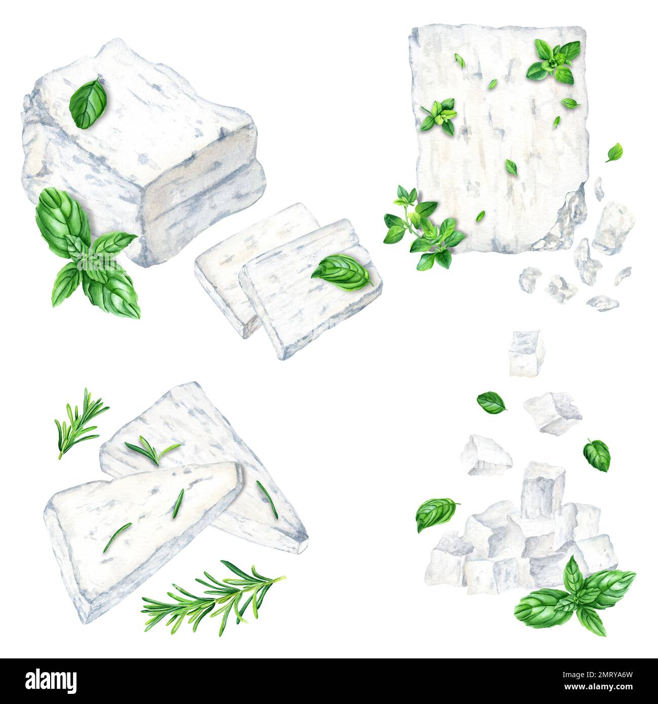 Greek feta cheese and herbs composition. Watercolor illustration ...