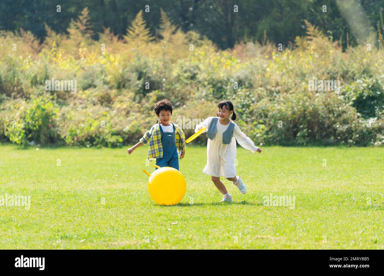 The two children playing games on the grass Stock Photo - Alamy