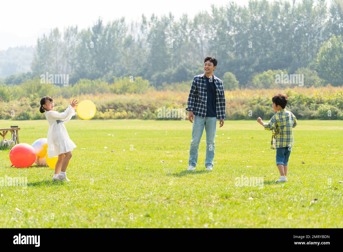 Father and child throw a frisbee on the lawn Stock Photo - Alamy