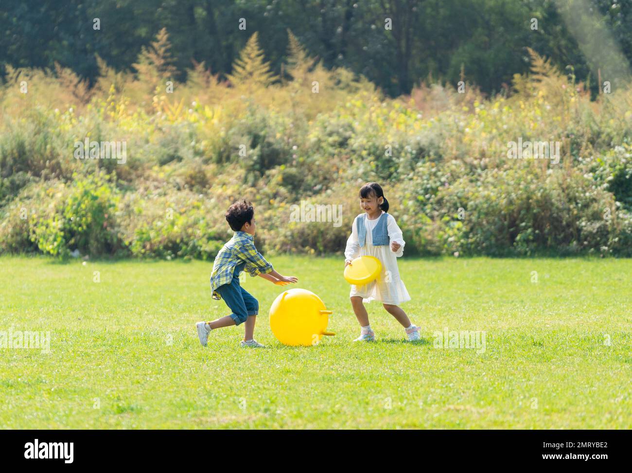 The two children playing games on the grass Stock Photo - Alamy