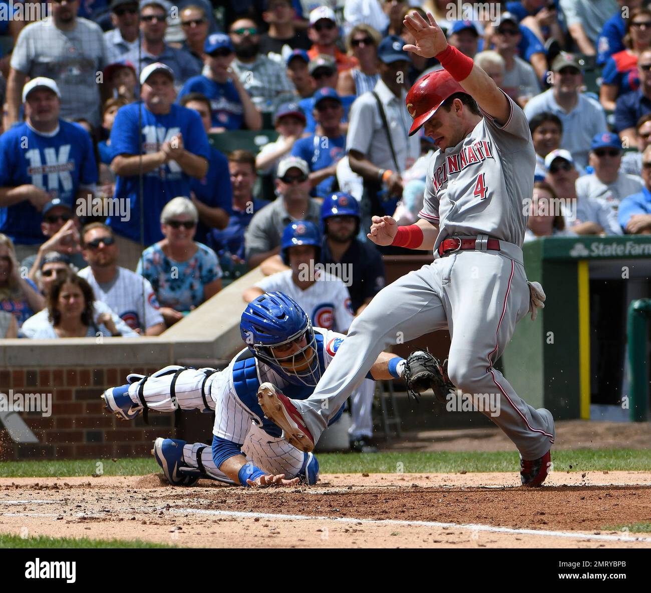 Chicago Cubs catcher Alex Avila (13) misses the tag on Cincinnati Reds ...