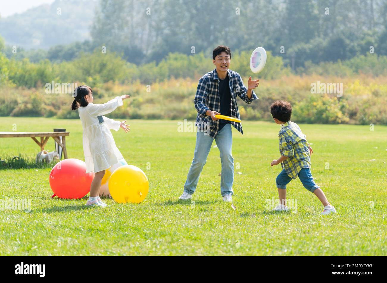 Father and child throw a frisbee on the lawn Stock Photo - Alamy