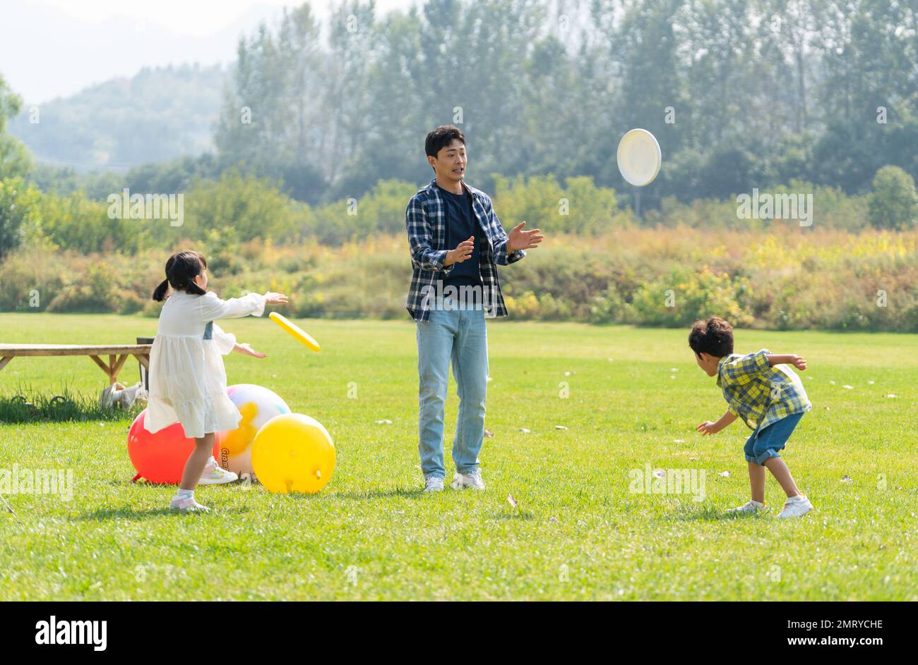 Father and child throw a frisbee on the lawn Stock Photo - Alamy