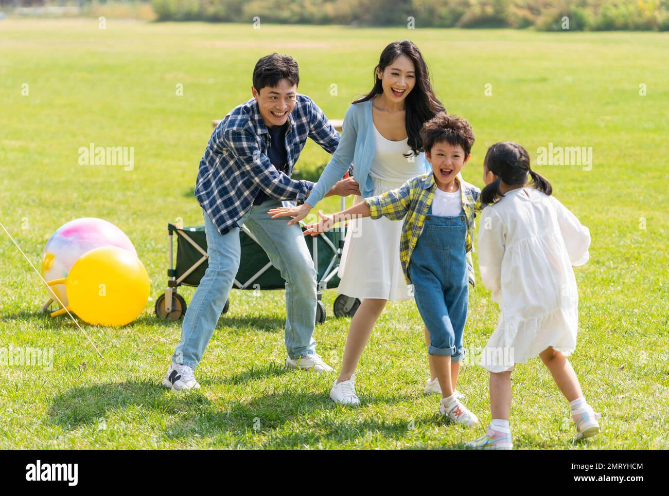 The family happily play games on the grass Stock Photo - Alamy