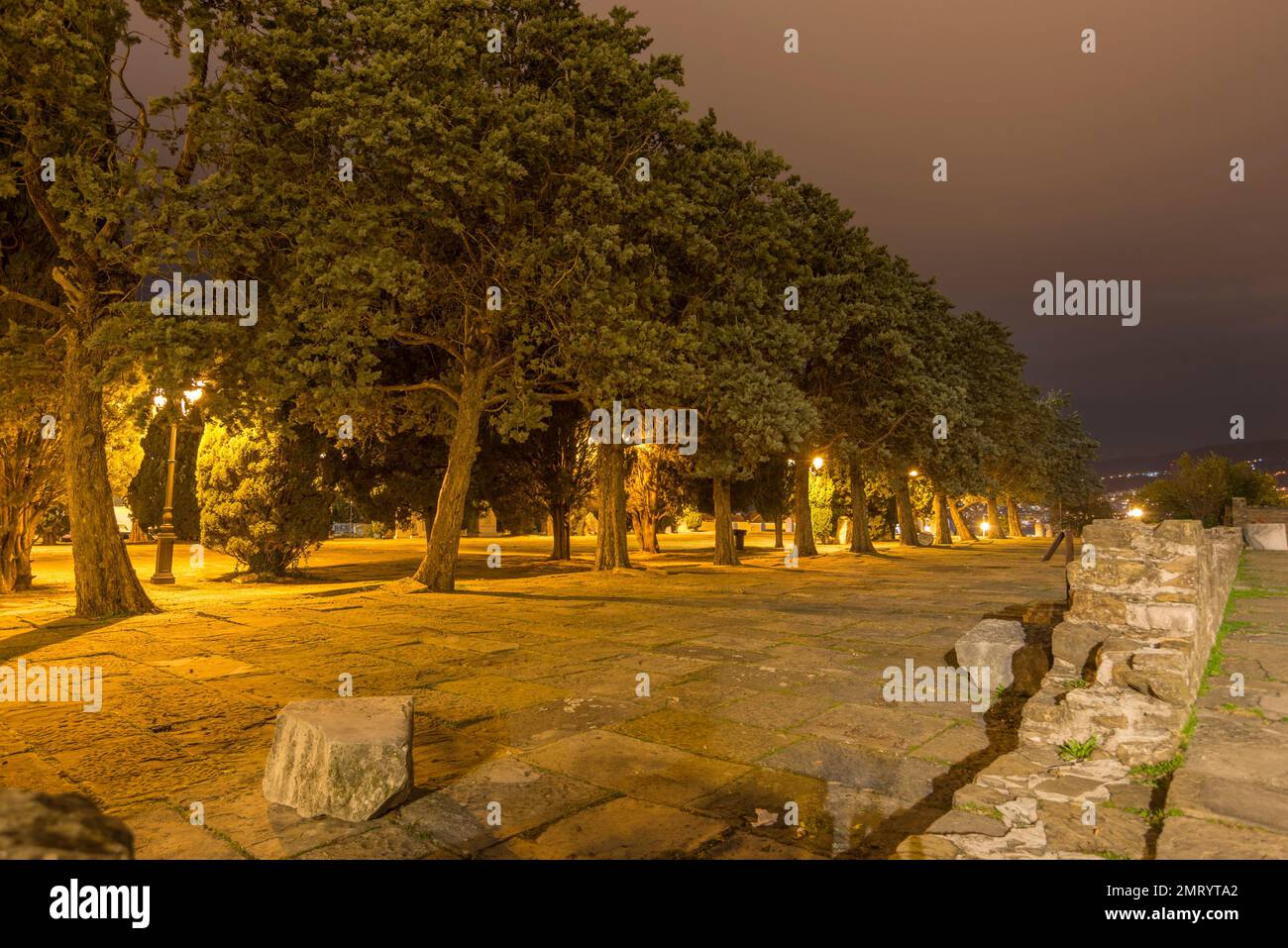 Alley old trees in park hi-res stock photography and images - Alamy