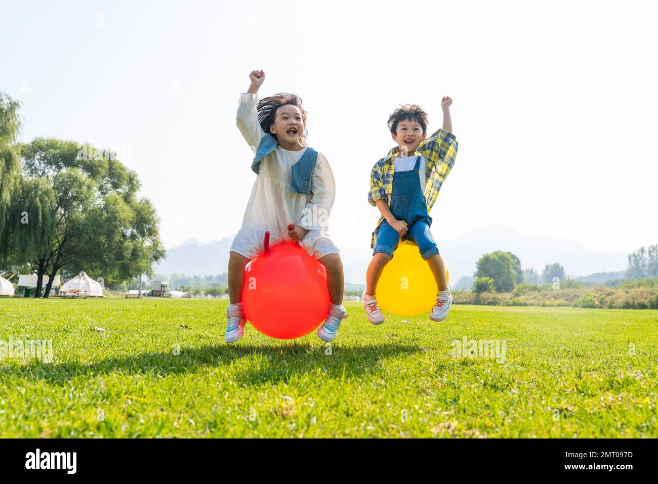 The two children playing games on the grass Stock Photo - Alamy