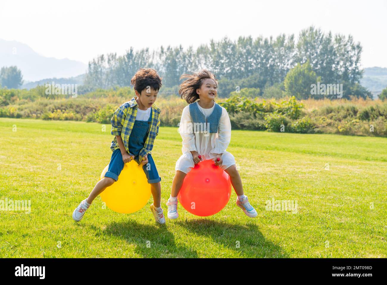 The two children playing games on the grass Stock Photo - Alamy