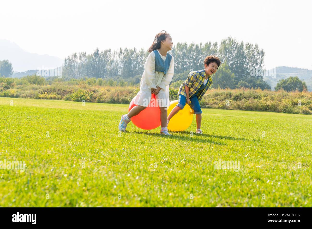 The two children playing games on the grass Stock Photo - Alamy