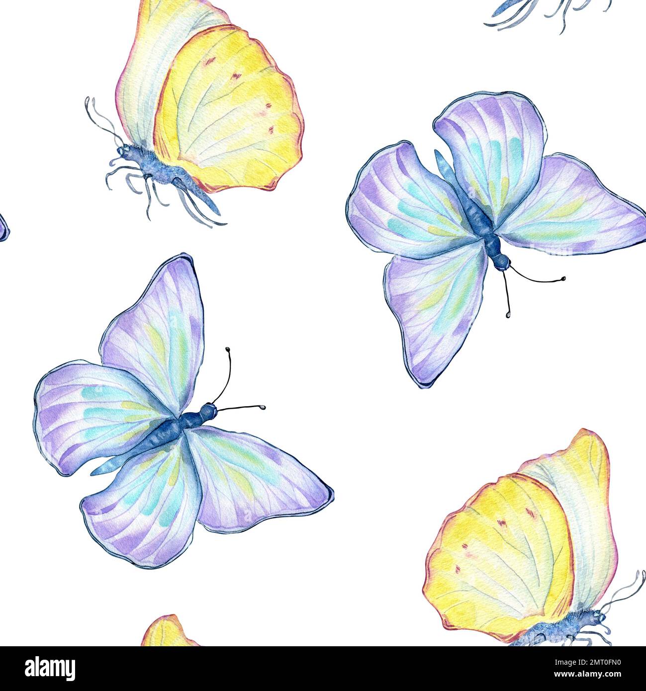Meadow blue, yellow butterflies watercolor seamless pattern on white ...