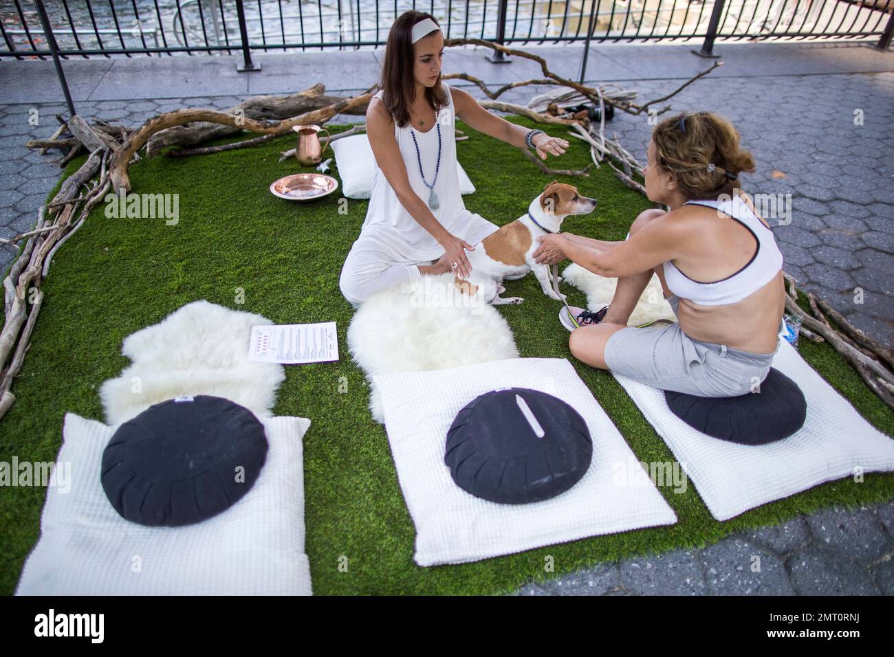 Kathryn Cornelius, center, performs "Sit, Stay, Heal" at Dogumenta (I ...
